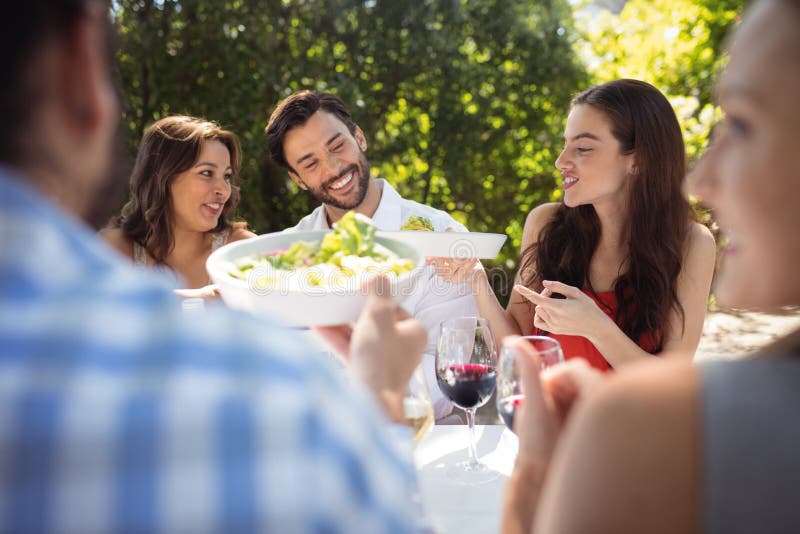 Group of Friends Having Lunch Stock Image - Image of millennial ...