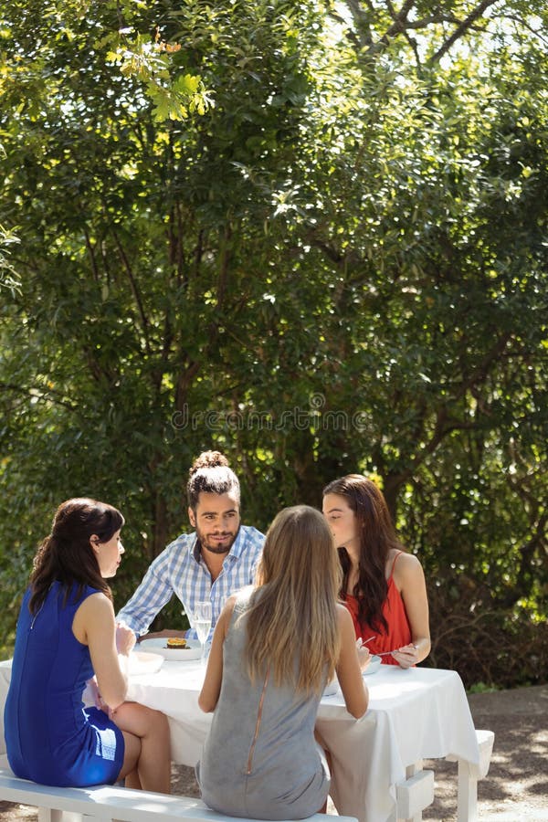 Group of Friends Having Lunch Stock Photo - Image of eating ...