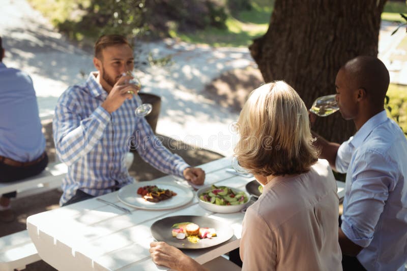 Group of Friends Having Lunch Stock Image - Image of happy, cheerful ...