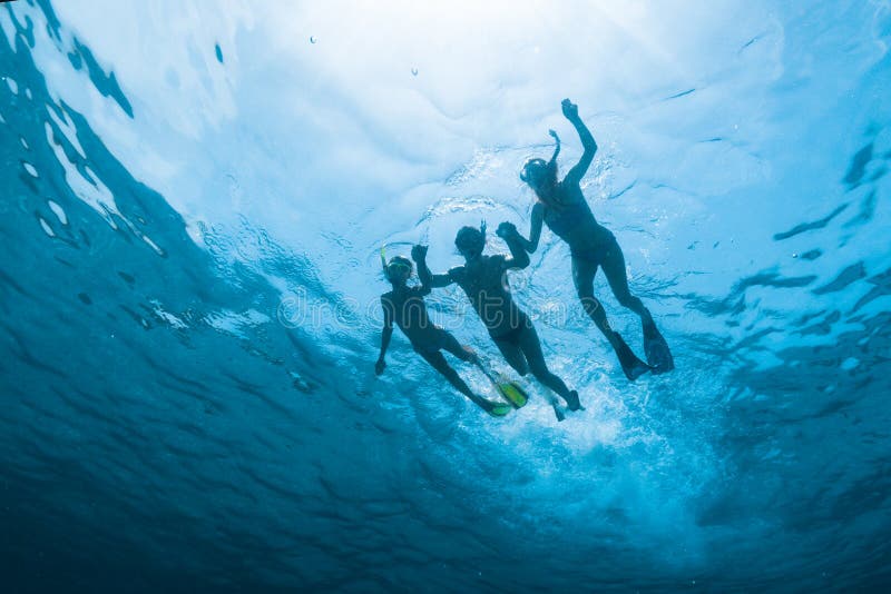 Group Of Friends Swimming Together In The Sea Stock Photo - Image of ...