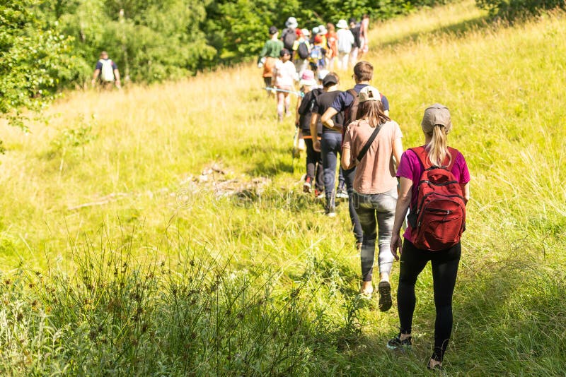 Group of Friends Trekking with Backpacks Walking in the Forest. Stock ...