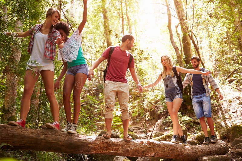 Group of Friends on Walk Balancing on Tree Trunk in Forest Stock Image ...