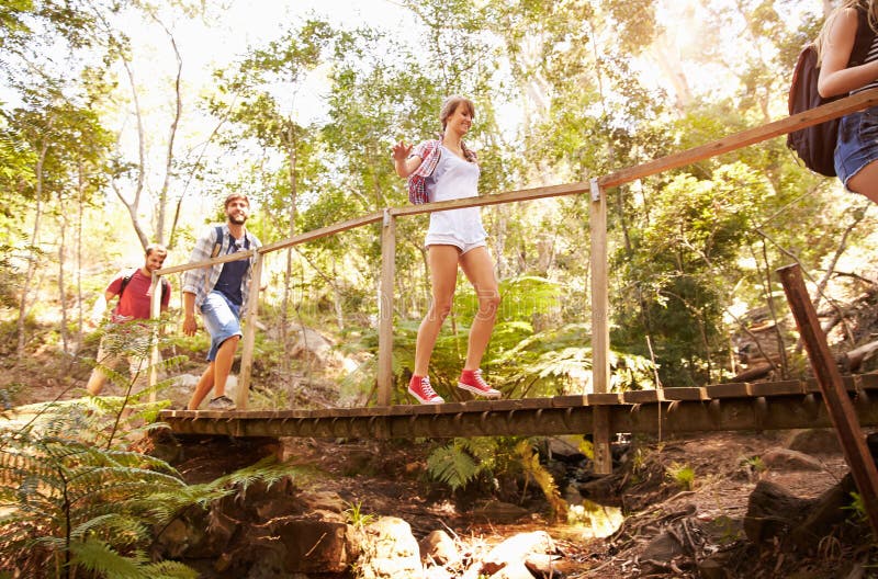 Group of Friends on Walk Crossing Wooden Bridge in Forest Stock Image ...