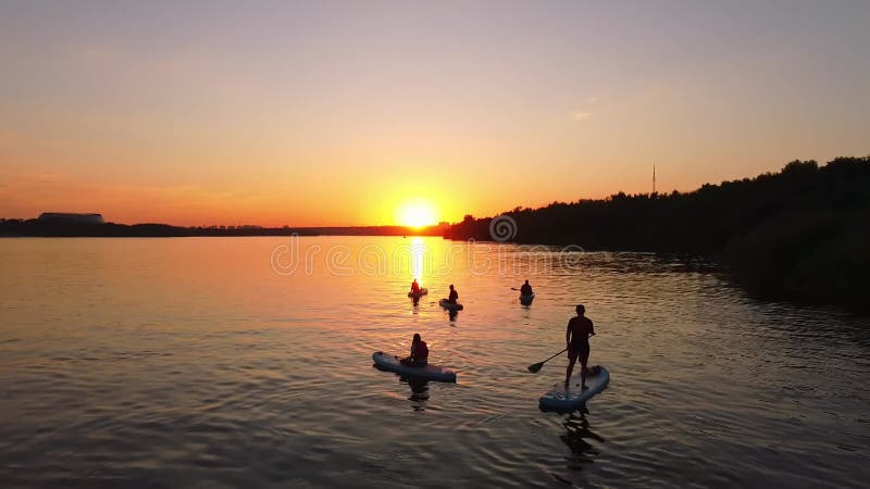 Group of Friends on the Water Simultaneously Rowing the Oars on the SAP ...