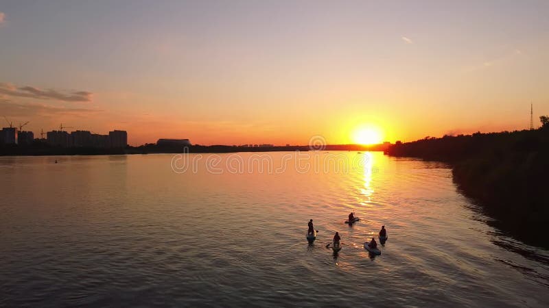 Group of Friends on the Water Simultaneously Rowing the Oars on the SAP ...