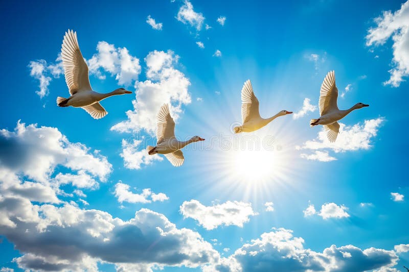 A Group of Geese Flying through a Blue Sky with White Clouds Stock ...