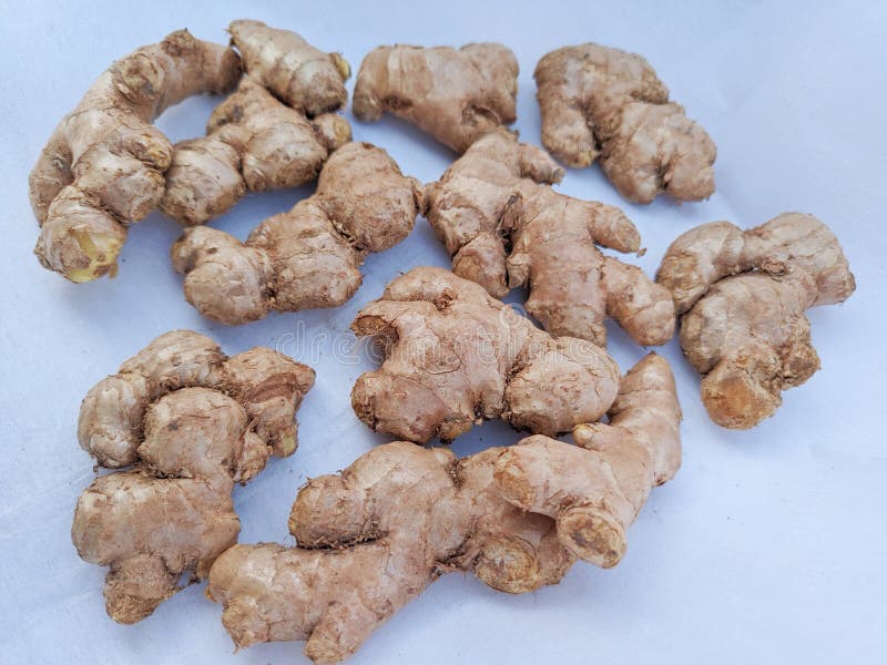Group Ginger on White Background Fresh Stock Photo - Image of bread ...