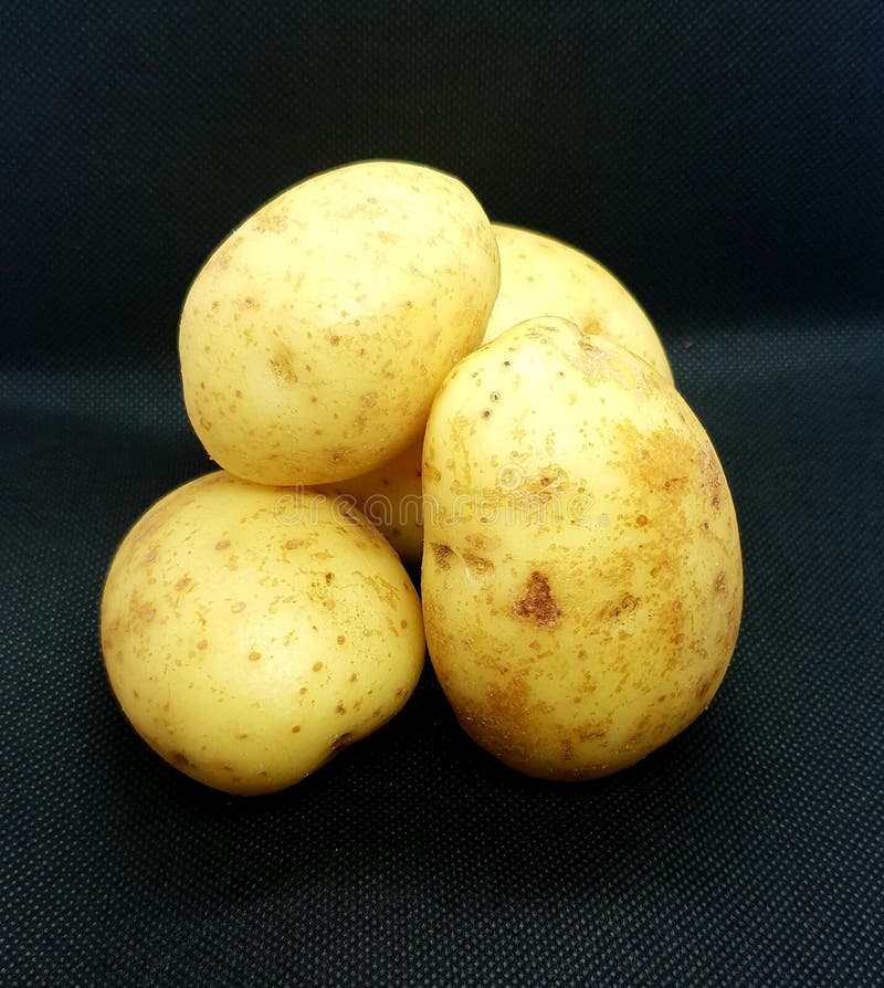 Group of Golden Fresh Potatoes Stock Photo - Image of golden, fresh ...