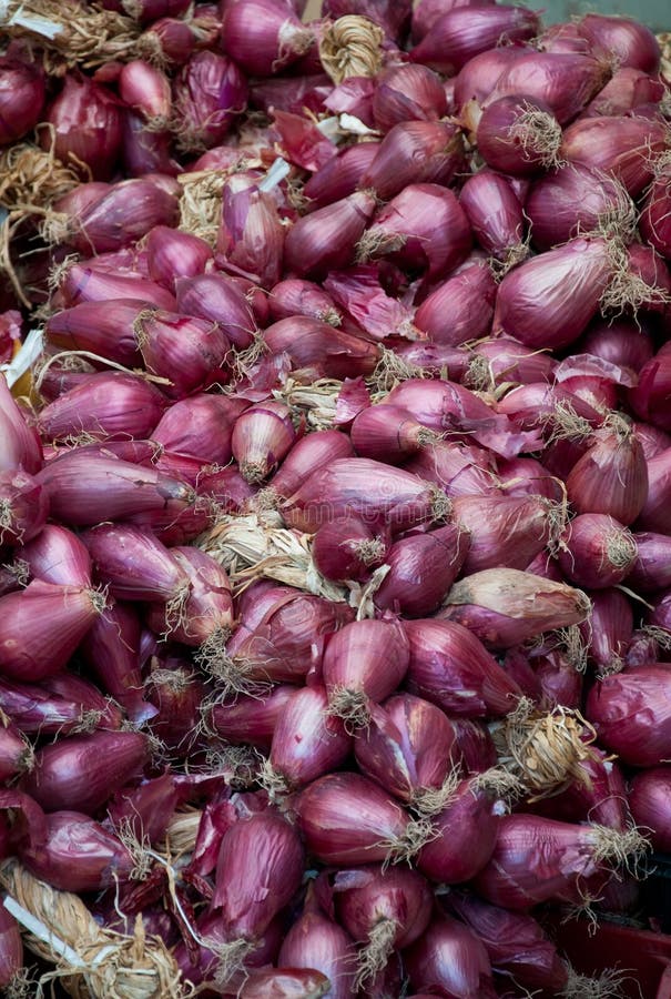 Red onions from Tropea stock image. Image of food, nature - 98590259
