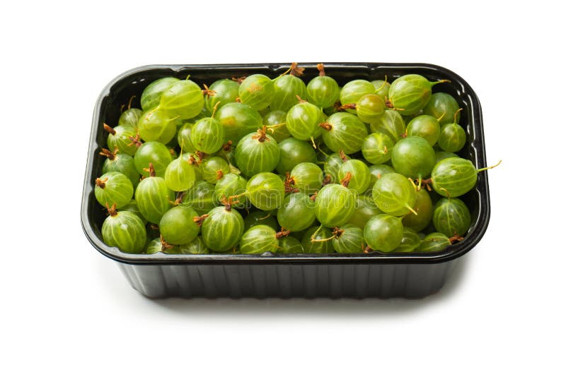 A Group of Gooseberries Isolated on a White Background Stock Image ...