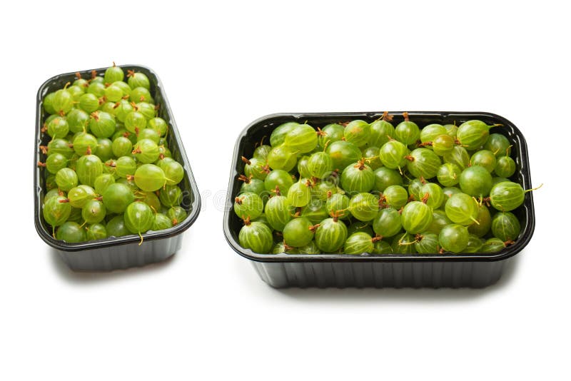 A Group of Gooseberries Isolated on a White Background Stock Photo ...
