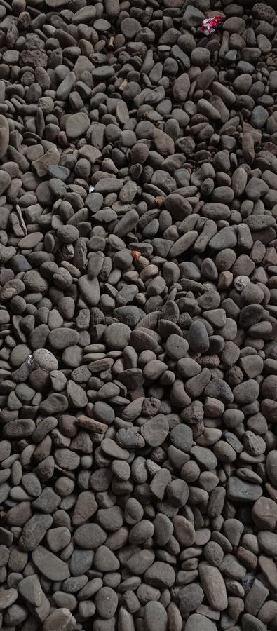 A Group of Gray River Stones in the Yard Stock Photo - Image of group ...