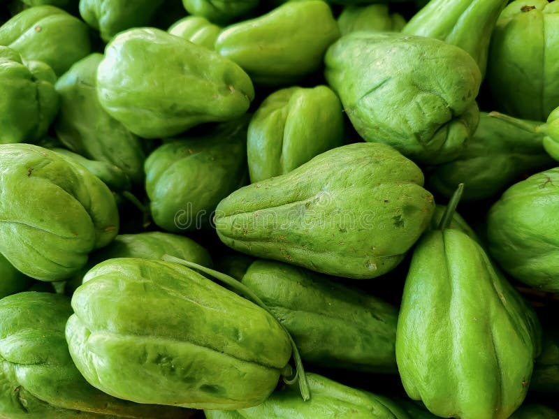 A Group of Green Chayote Makes it Comfortable To See. Fresh and Healthy ...