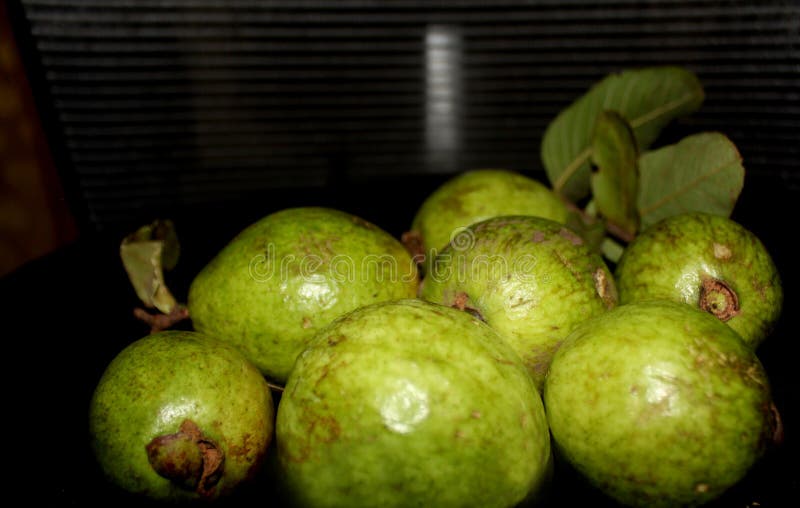 A group of Guava stock image. Image of peas, regions - 108023297