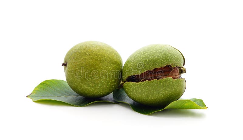 Group of green nuts stock photo. Image of grain, agriculture - 205639884