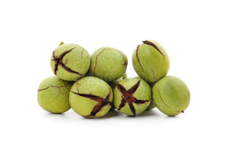 Group of green nuts stock image. Image of group, garden - 197500857