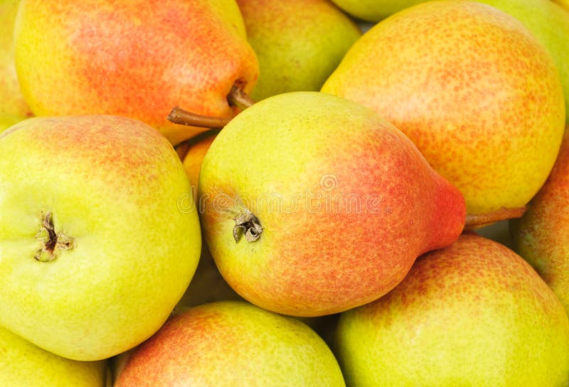 Food Background - Golden Bosc Pears Also Known As Kaiser Pears Stock ...