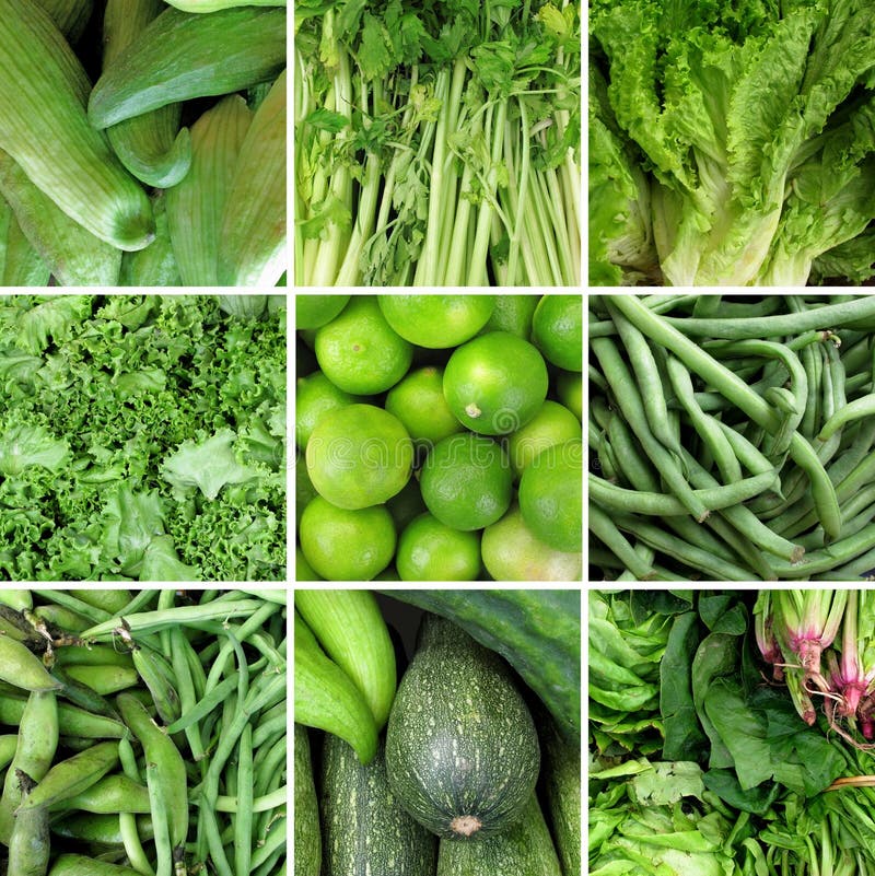 Group of green vegetable stock image. Image of growth - 19279331