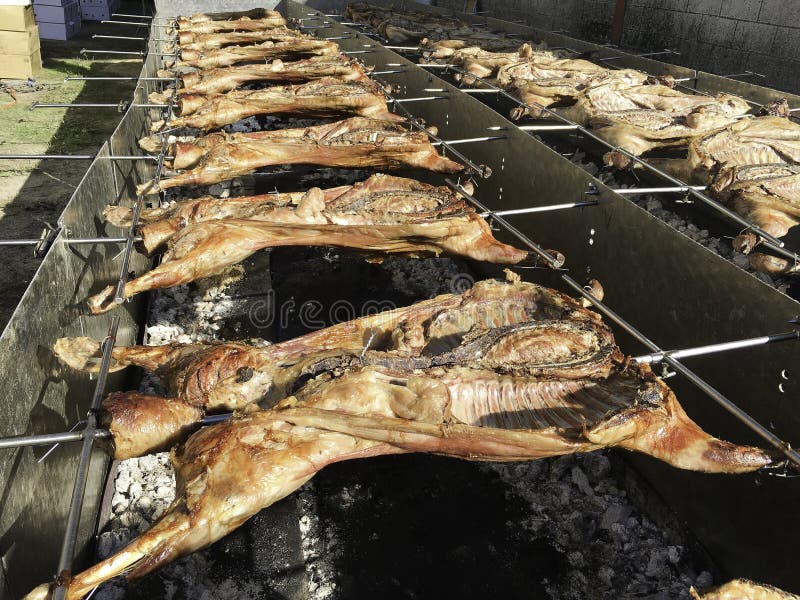 Group grilled lamb stock image. Image of sheep, meat - 62268525