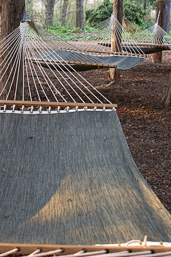 Group of Hammocks stock image. Image of hammock, plant - 39962945