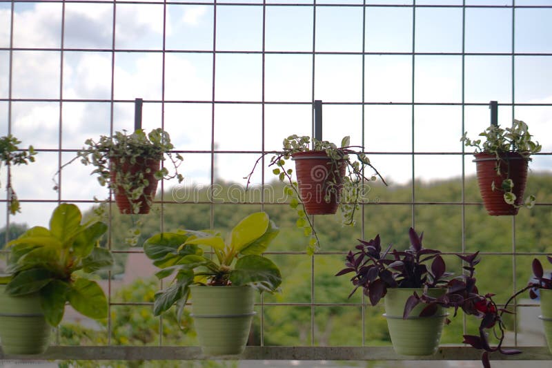 A Group of Hanging Flower Pots Arranged Parallel and One on Top of ...