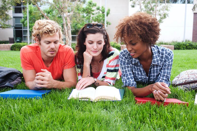Group of Happy College Students in Grass Stock Photo - Image of ...