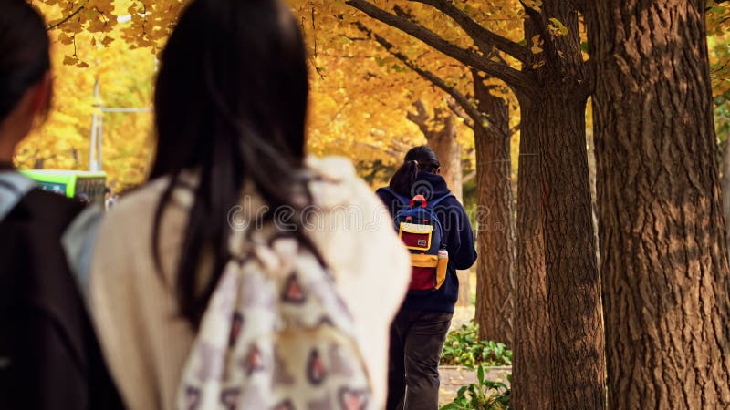 A Group of Happy College Students Walk in the Campus Stock Footage ...