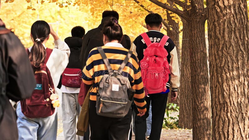 A Group of Happy College Students Walk in the Campus Stock Footage ...