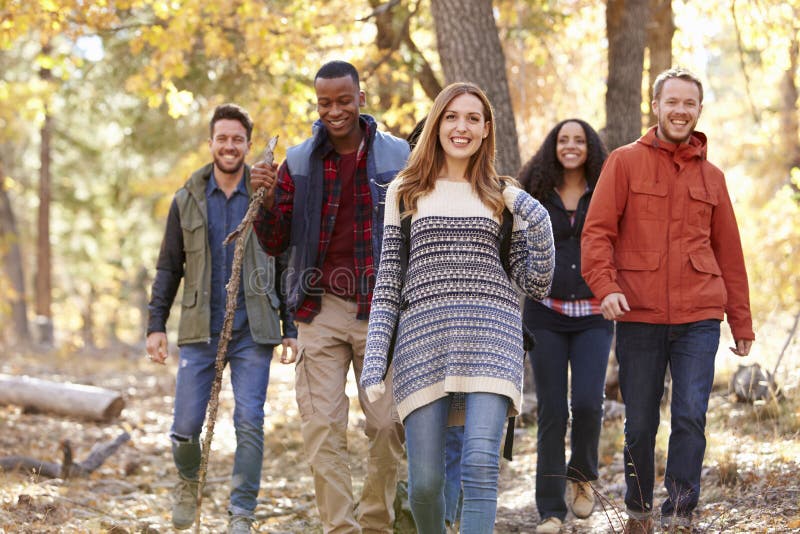 Group of Happy Friends Hiking Together through a Forest Stock Image ...