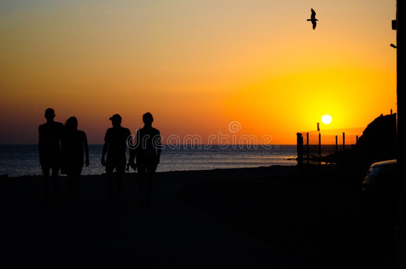 Group of Happy Young People at the Beach on Beautiful Summer Sunset ...