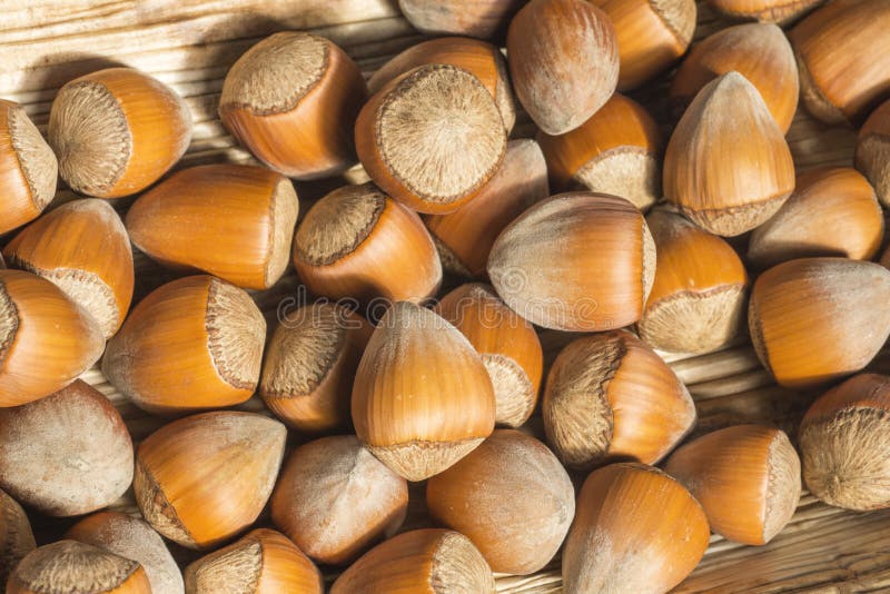 Group of Hazelnuts in the Husks on Pressed Palm Leaf Stock Image ...