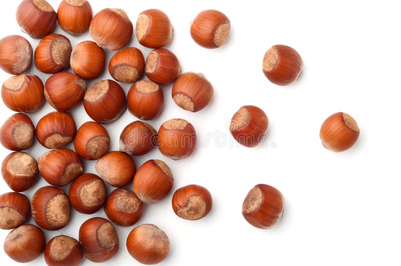 Group of Hazelnuts Isolated on White Stock Photo - Image of objects ...