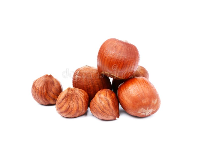 Group hazelnuts stock image. Image of object, nucleus - 80974109