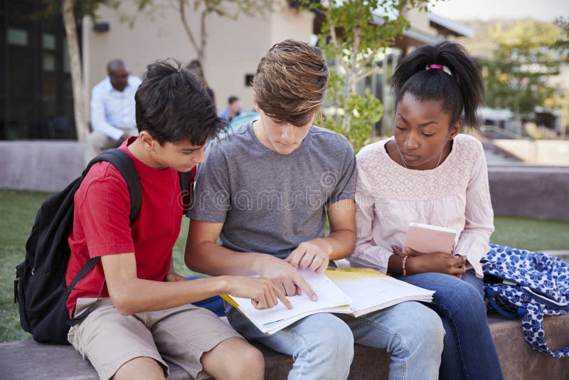 Group of High School Students Studying Outdoors during Recess Stock ...