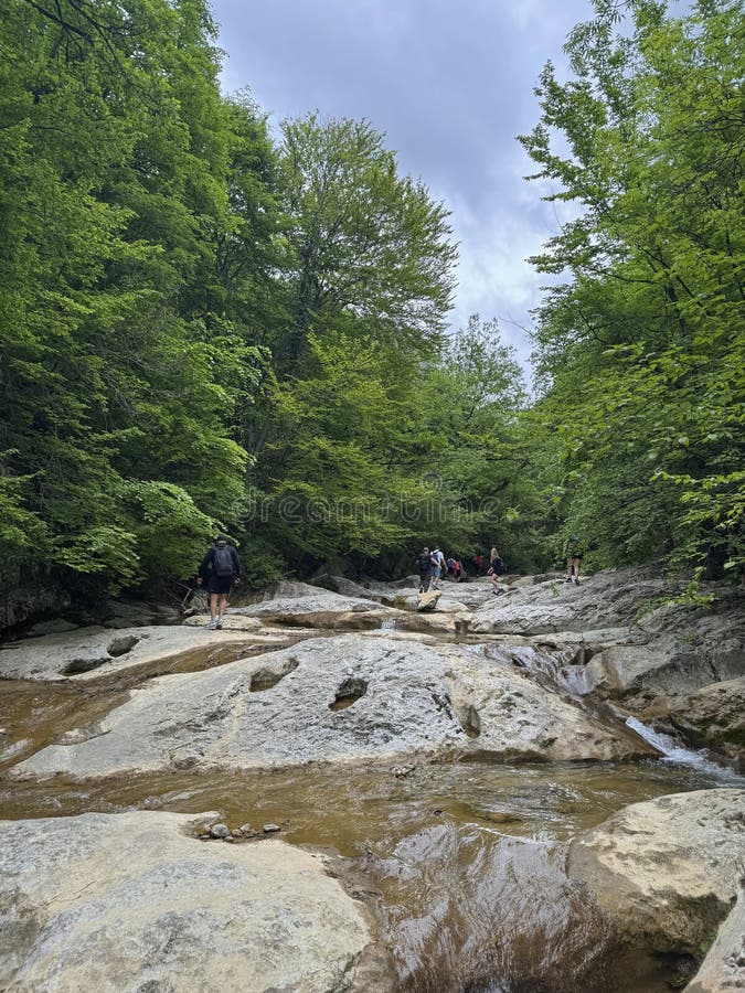 A Group of Hikers Climbing a Mountain Along a Forest Path on a Hike ...