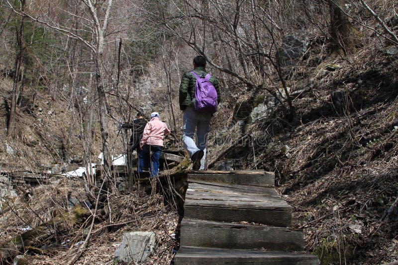 Group of Hikers Hiking in Forest Stock Photo - Image of force, hikers ...