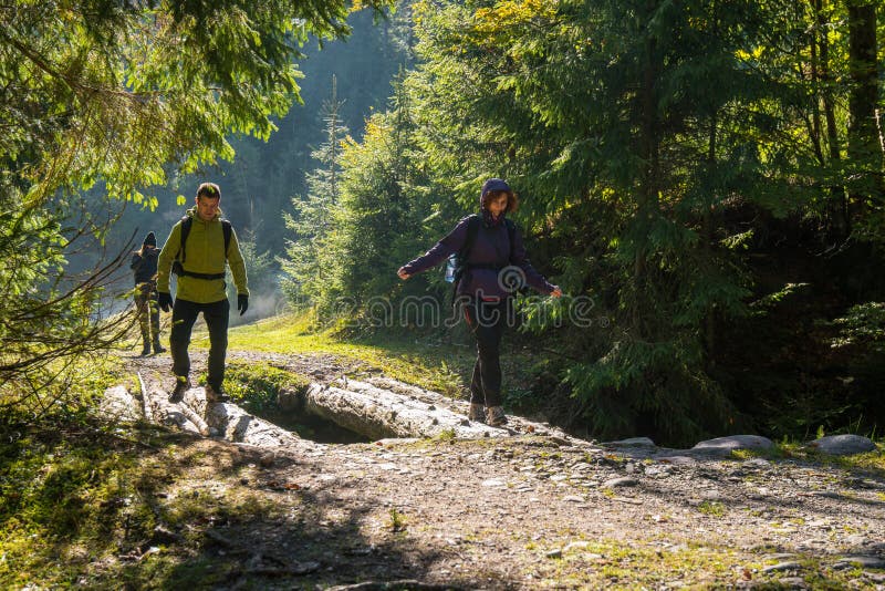 Group of hikers on a trail stock image. Image of hikers - 102969901