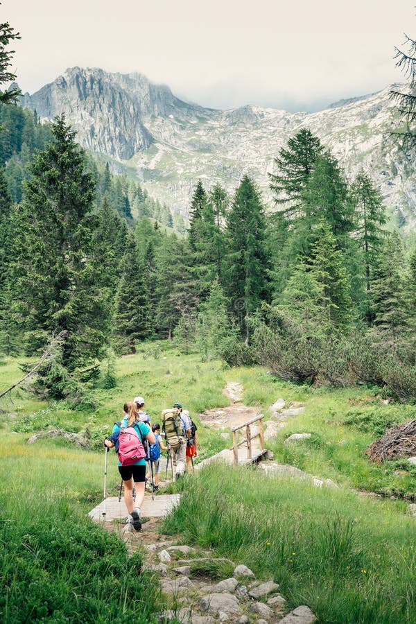 Group of hikers on trail editorial stock photo. Image of adult - 88260988