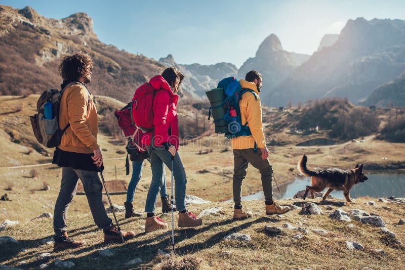 Group of Hikers Walking on a Mountain Stock Photo - Image of life ...