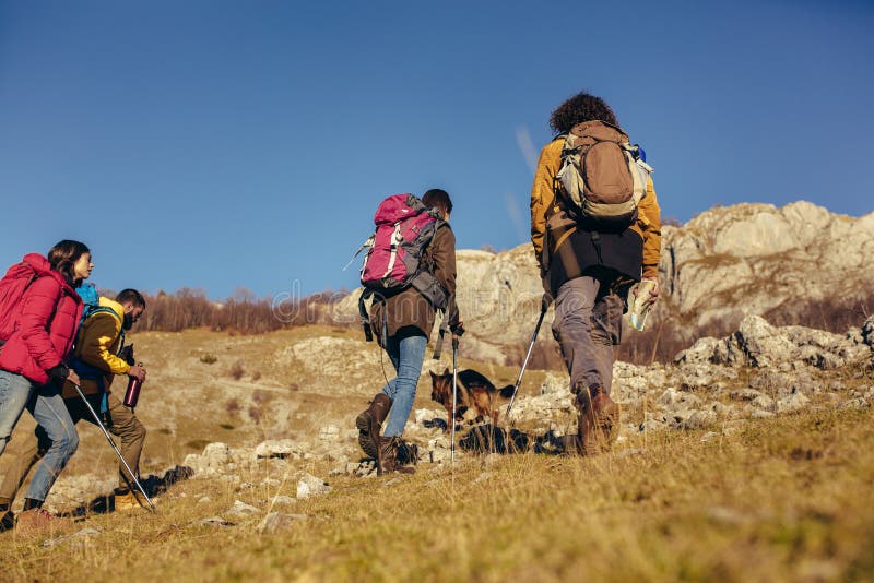 Group of Hikers Walking on a Mountain Stock Photo - Image of shepherd ...