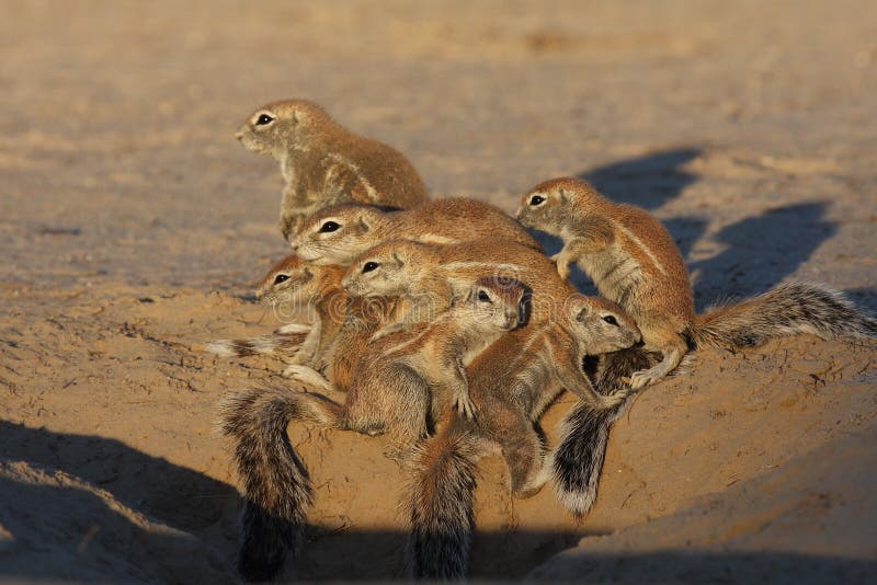 Group Hug Picture. Image: 5320204