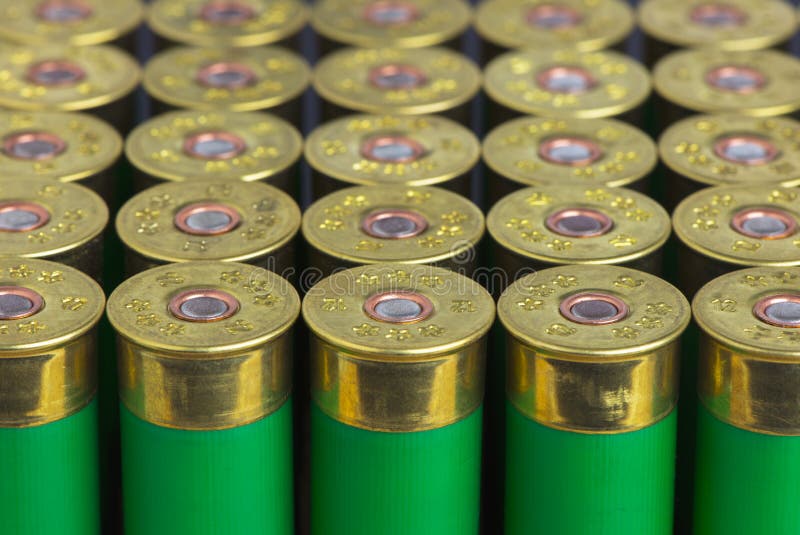 Hunting Cartridges in a Plastic Box. Bullet Storage Box. Stock Image ...