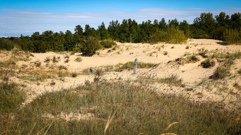 People Walking Across Sandy Field with Trees in Background Stock Photo ...