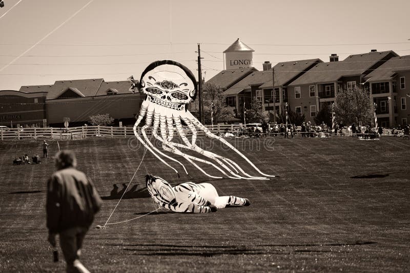 Oversized Kites Stock Photos - Free & Royalty-Free Stock Photos from ...
