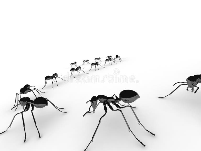 Group Insects Ants Line Floor Stock Illustrations – 37 Group Insects ...