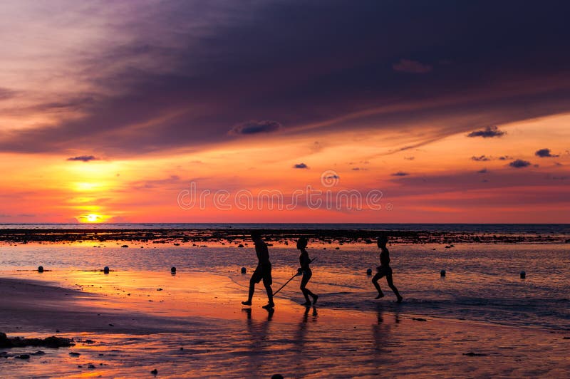 Group of Kids Explore the Beach at the Sunset Time Stock Image - Image ...