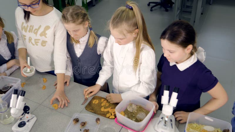 Children, Science and Learning with Kids and Students Getting an ...