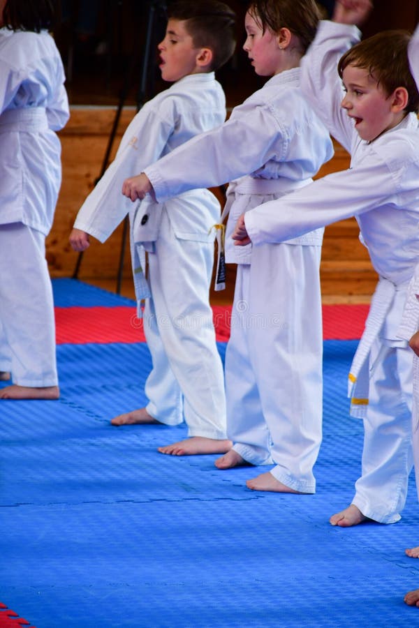 Kids training Karate editorial stock photo. Image of attack - 117285373