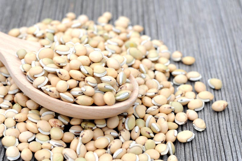 Group of lablab vegetable stock image. Image of group - 113254347