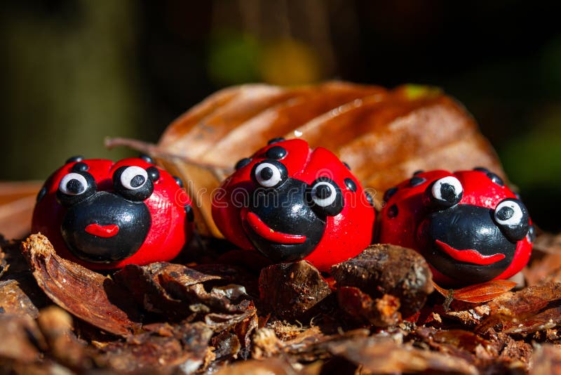 Group of Ladybug Figures with Autumn Background Stock Image - Image of ...